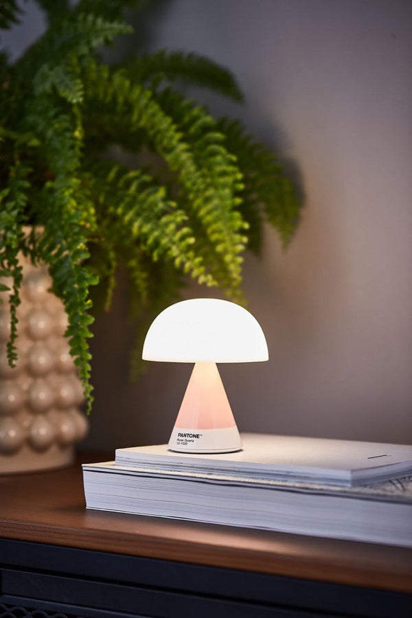 Lexon x Pantone - MINA M Rechargeable Portable LED Lamp
